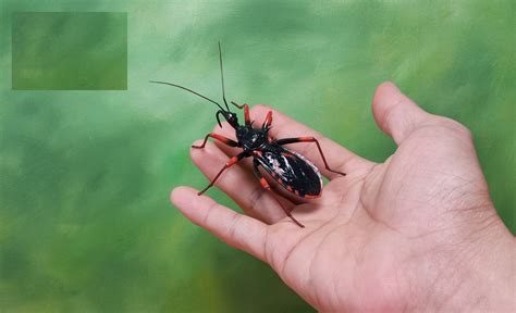 Self Giant Spiny Assassin Bug Polymer Clay Sculpture Sculpture