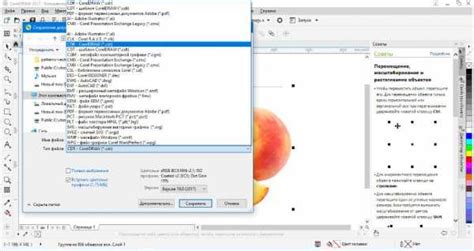 Как вставить в Coreldraw картинку Как вставить изображение из Word в Corel чтобы можно было