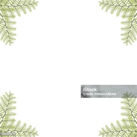 추상은 흰색에 고사리 잎 배경 디자인 잎 배경 벡터 일러스트 Eps 10 12월에 대한 스톡 벡터 아트 및 기타 이미지 12월 가을 겨울 Istock