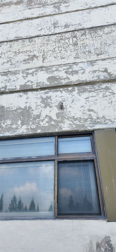 Crack Detection Object Detection Dataset And Pre Trained Model By Seonghun