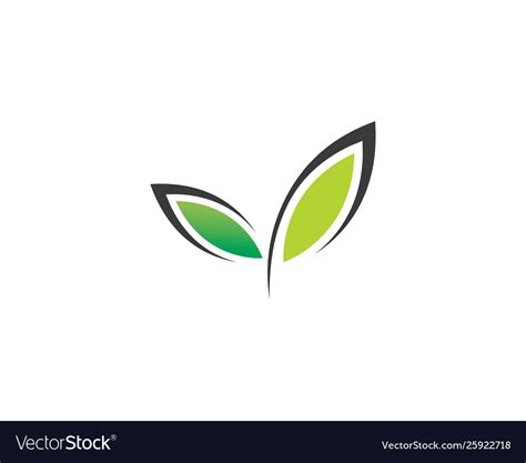 Tree Leaf Logo Design Royalty Free Vector Image