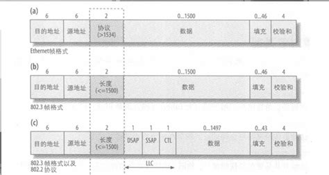 《深入理解linux网络技术内幕》阅读笔记（十二）ethernet的帧类型为啥大于1536需要 Csdn博客