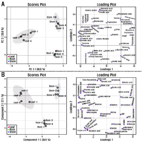 A Scores And Loading Plots Of Pca Model And B Scores And Loading