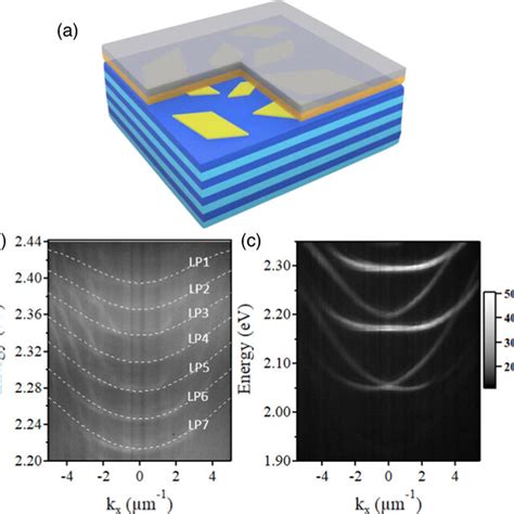Dispersion Of The Microcavity A Schematic Diagram Of The Organic Download Scientific Diagram