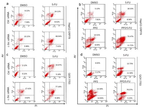 Figs4 A Flow Cytometry Analysis Of Apoptosis Induced By 5 Fu In