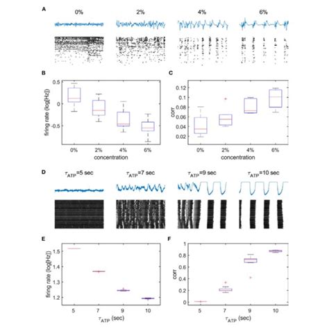 Model Schematic And Spike Patterns A Schematic Representation Of Download Scientific