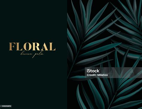 야생 매크로 야자수 무늬 디자인 골드 문자 아트 트렌디 한 프리젠 테이션 노트북 커버 간단한 수채화 전단지 커버 템플릿입니다 벡터 어두운 색에 대한 스톡 벡터 아트 및 기타