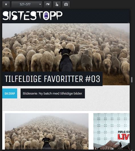 Html Div Wont Fill 100 Width On Mobile Chromesafari Browser Stack