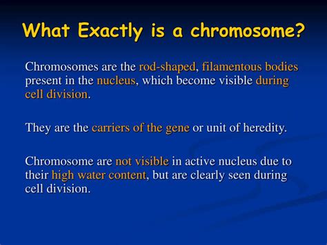 Ppt Sex Chromatin Bodies Barr Body Powerpoint Presentation Free Download Id 6531581