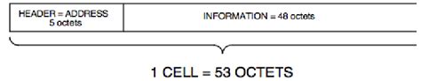 Schematic Representation Of A Cell In Asynchronous Transfer Mode Download Scientific Diagram