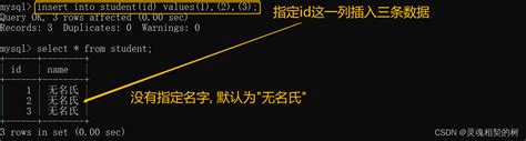 【mysql】五种约束类型 主键和外键的使用方式重点mysql Primary Key怎么使用 Csdn博客