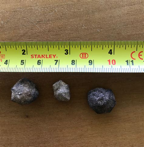 Dao Seeds Tonji And Sylvias Wildlife Refuge