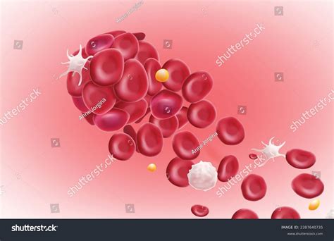 Blood Clot Diagram Blood Clot Anatomy Stock Vector Royalty Free
