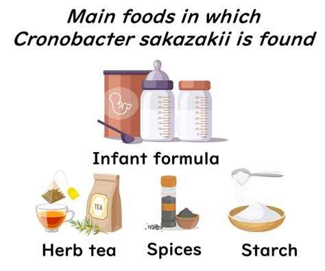 Understanding Cronobacter Sakazakii Risks Prevention And Safe Formula Preparation For Infants