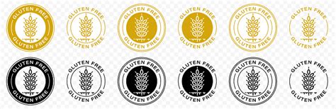 글루텐 프리 라벨 아이콘 세트 글루텐 프리 푸드 패키지 또는 식이 제품 영양 기호에 대한 밀 기호 템플릿 디자인이 없습니다 정보 레이블입니다 벡터 그림입니다 옥수수 속대에