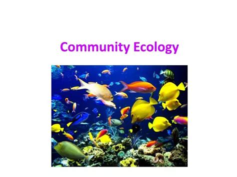 Ppt Community Ecology Powerpoint Presentation Free Download Id 2196167