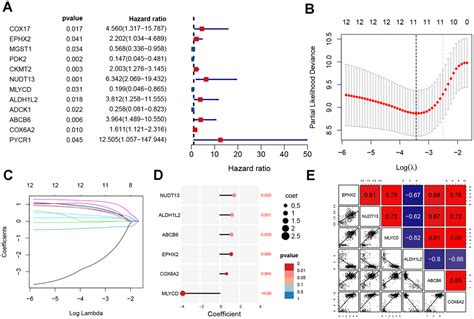 Identification Of Mitochondrial Related Signature And Molecular Subtype