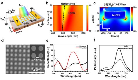 A The Schematic Illustration Of The Aund Arraymos2 Hybrid Download Scientific Diagram