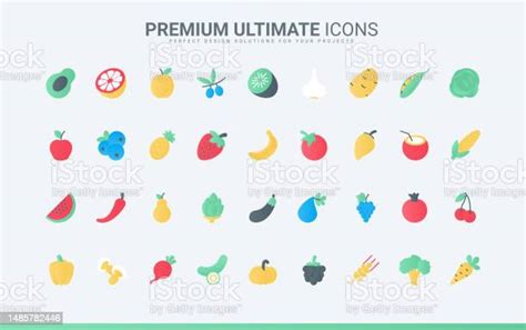 과일과 야채 트렌디한 플랫 아이콘 세트 건강한 영양을 위한 유기농 건강 농장 음식 과일에 대한 스톡 벡터 아트 및 기타 이미지 과일 포도 가지 채소 Istock