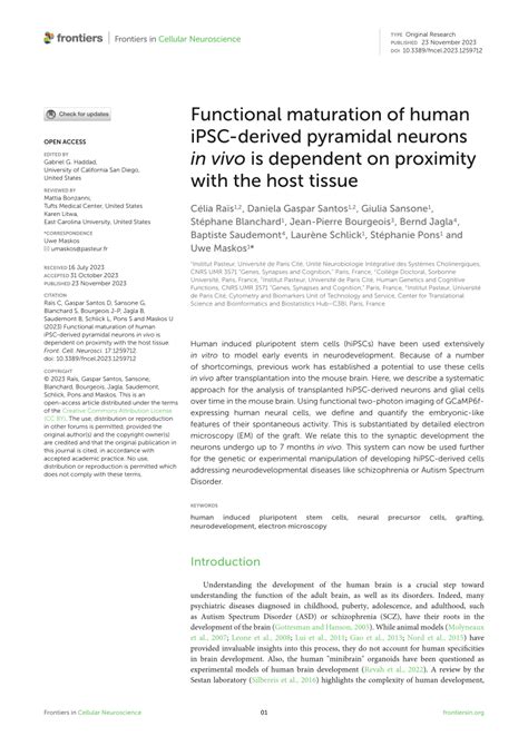 Pdf Functional Maturation Of Human Ipsc Derived Pyramidal Neurons In Vivo Is Dependent On