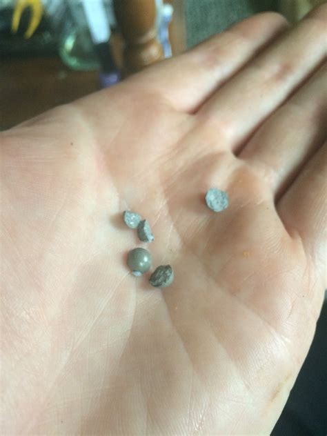 Madbull Precision Bbs And Matrix Bbs 40g Airsoft Forum