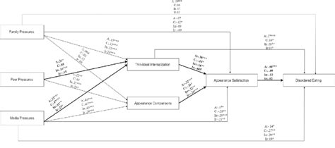 Multigroup Structural Equation Model With Standardized Path