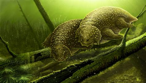 Scutosaurus Karpinskii By Dinoved On Deviantart