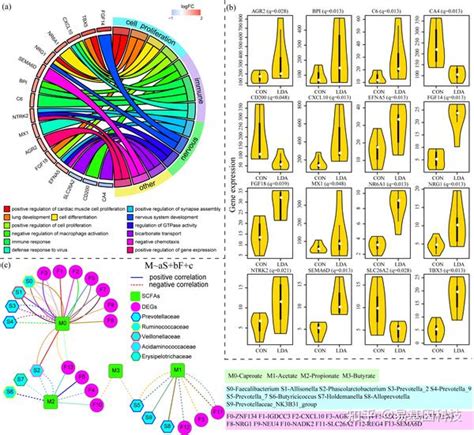 易基因：多组学关联分析及组学分子实验验证方法（表观组 转录组 微生物组）｜干货系列 知乎