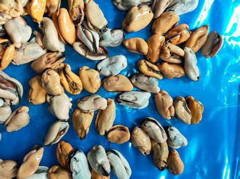 Frozen Seafood Shellfish Scallop Mytilus Edulis Cooked Mussel Meat