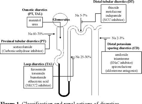 Figure 1 From Principles And Practice Of Diuretic Therapy Semantic Scholar