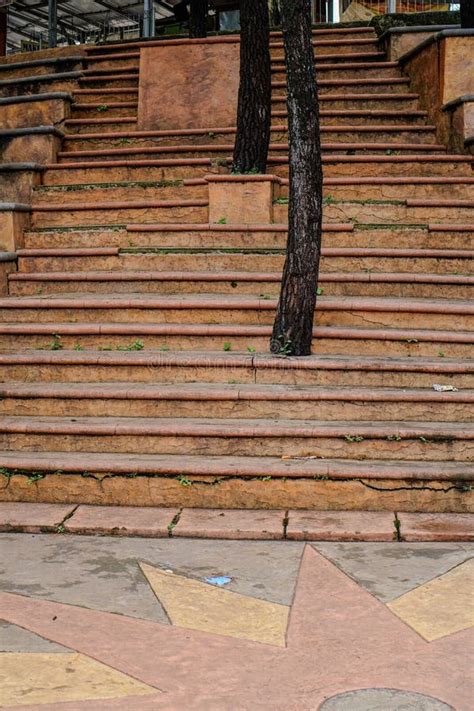 Trees Growing On The Steps Of A City Park Stock Image Image Of Corridor Abstract 306765059