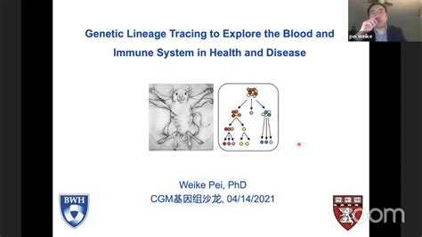 Cgm 第 149 期 单细胞谱系追踪解析免疫系统的发育 Youtube