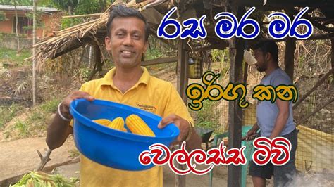 රස මර මර ඉරිගු කන වෙල්ලස්ස ටිවි Youtube