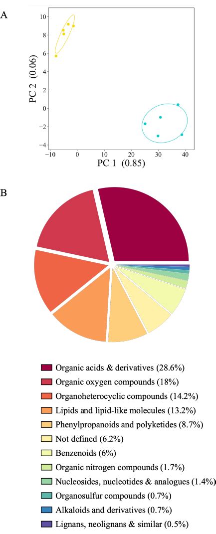 A Versatile Glass Jar System For Semihydroponic Root Exudate Profiling Protocol