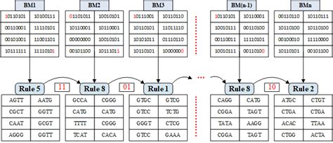 Binary To Dna Conversion Download Scientific Diagram