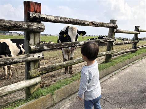 福岡県内の子ども連れにおすすめな屋外おでかけスポット3つ