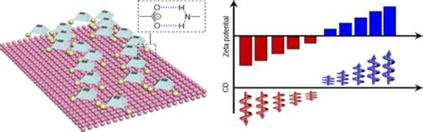 Macrocycle Nanoclay Coassembly With Modulable Supramolecular Chirality