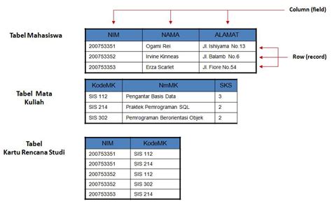 Cara Membuat Databases Menggunakan Cmd Belajar Coding Juraganinfo