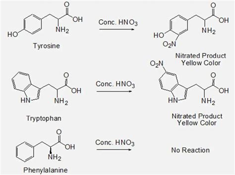 xanthoproteic test principle procedure result application