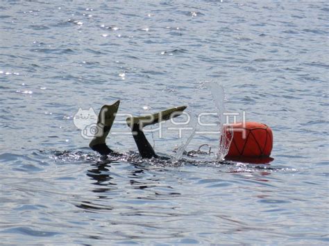 Sea Blue Diving 바다 해녀 사진 이미지 일러스트 캘리그라피 나이테작가