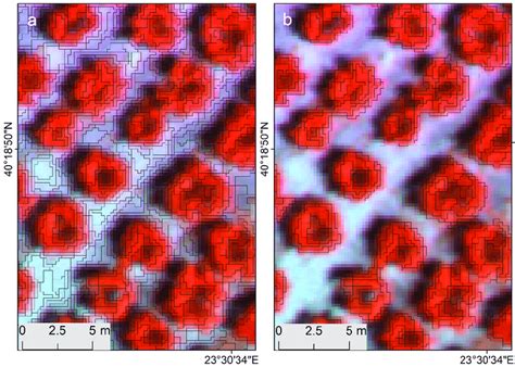 Segmentation And Classification Results A Close View Of The