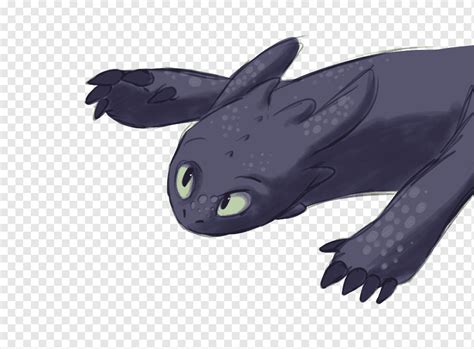 How To Train Your Dragon Toothless Flying