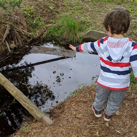 Sink Or Float Experiment Happy Days Bucket Filled