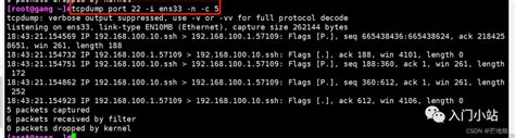 Linux网络抓包分析工具（非常详细）零基础入门到精通，收藏这一篇就够了linux 抓包 Csdn博客