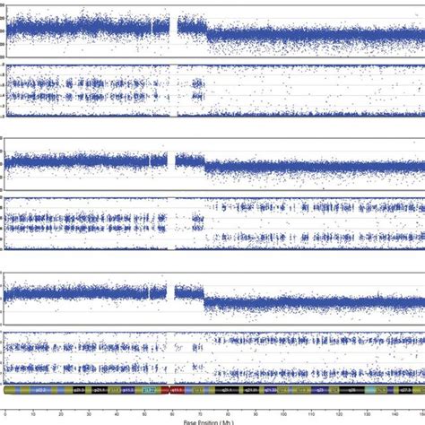 SNP Array Data Showing The X Chromosomes In Three Cases Top Panels Download Scientific Diagram