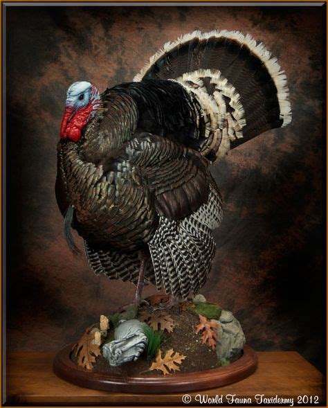 10 Turkey Mount Ideas Turkey Mounts Taxidermy Mounts Turkey Hunting