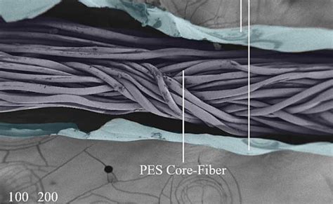 Scientists Develop Self Healing Concrete Inquirer Technology