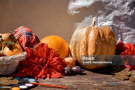 가을 미적 박람회 노란색 과일과 야채와 브러시 호박 배 사과와 멜론밝은 페인트 추수 감사절 개념 붉은 조지네 현대 그림자가 있는 가을 의 정물 가을에 대한 스톡 사진 및