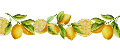 밝은 녹색 잎과 꽃이있는 신선한 익은 레몬과 수채화 테두리 손으로 그린 컷 감귤류 슬라이스는 흰색 배경에 그림을 그립니다 디자이너 엽서 파티 초대장 포장지 표지 포스터 및