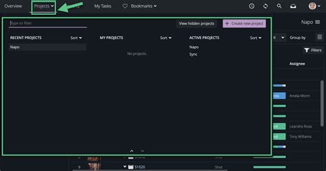 Navigating Projects Ftrack Studio